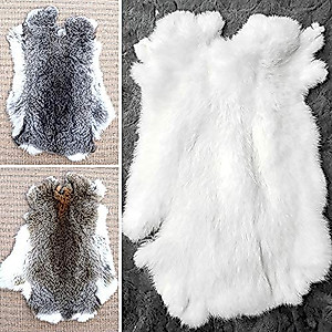 Assorted Natural Rabbit Skin Fur Pelts Grade Craft with Sewing Quality Leather 10" by 14" with Sewing Quality Leather for Decoration, Cat/Dog Toys, Sewing, or Crafting Fur Hide (5PCS Bulk)