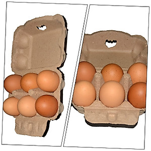 Egg Container 20pcs Box Egg Carton Eggs Pulp Packing Box Egg Tray