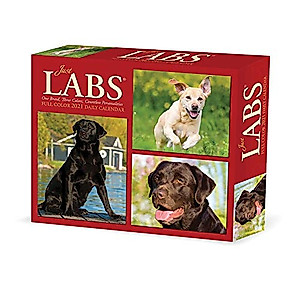 Just Labs 2021 Box Calendar (Dog Breed Calendar)