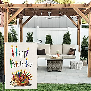 Happy Birthday Garden Flag 12x18 Inch Vertical Double Sided Yard Banner Cartoon Outdoor Decor Signs Birthday Party DF084