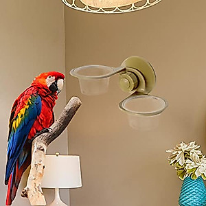 Amphibian Reptile Food Bowl Pets Suction Cup Worm Terrarium Water Dish Mealworms Bowls Feeders for Bearded Gecko