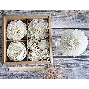 Mixed White Sola Flower with Cotton Wick Diffuser Set Replacement for Home Fragrance by Plawanature