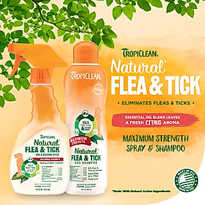 Natural Flea & Tick Max Strength Shampoo & Bedding Spray Bundle | Flea & Tick Prevention | Dog Shampoo | Flea & Tick Treatment Protects & Repels | Made in USA