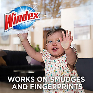 Windex Ammonia-Free Premoistened Glass Wipes, Crystal Rain Fresh Scent, 25 Count