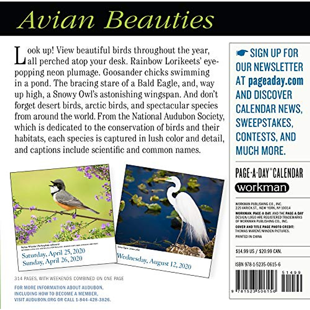 Audubon Birds Page-A-Day Calendar 2020