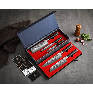 XINZUO 5-Piece Damascus Steel Kitchen Knife Set, Chef Santoku Nakiri Slicing Utility Knife Hammered Forging Damascus Kitchen Knife Professional Chef's Knife with Pakkawood Handle - He Series