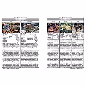 Florida Wildlife Encyclopedia: An Illustrated Guide to Birds, Fish, Mammals, Reptiles, and Amphibians