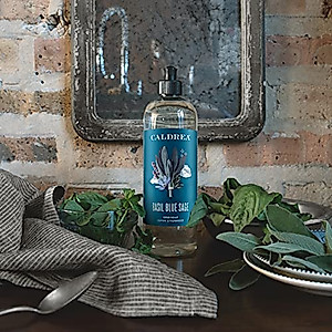 Caldrea Dish Soap, Biodegradable Dishwashing Liquid made with Soap Bark and Aloe Vera, Basil Blue Sage Scent, 16 oz