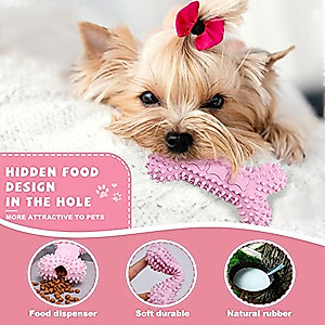 UETZLTB Puppy Chew Toys for Teething Small Dogs 5 Pack Puppy Toys Small Dog Chew Toys for Puppies Interactive Rubber Puppy Dog Teething Toys for Teeth Cleaning Funny Cute Soft Plush Squeaky Dog Toy