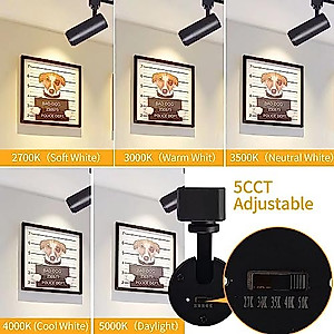 Ajbvp 5CCT LED Track Lighting Heads 12W Dimmable,Zoomable Beam15°/24°/36°/45°/60°,2700K/3000K/3500K/4000K/5000K,Single Circuit H Track Lighting Heads Ceiling Fixtures Art Lighting,Black-4Pack