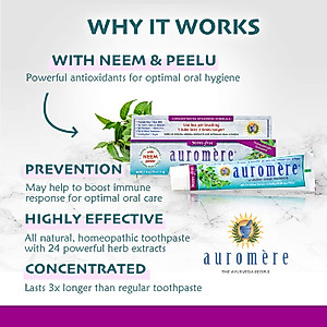 Auromere Ayurvedic Herbal Toothpaste, Mint Free - Vegan, Natural, Non GMO, Fluoride Free, Gluten Free, with Neem & Peelu (4.16 oz), 1 Pack