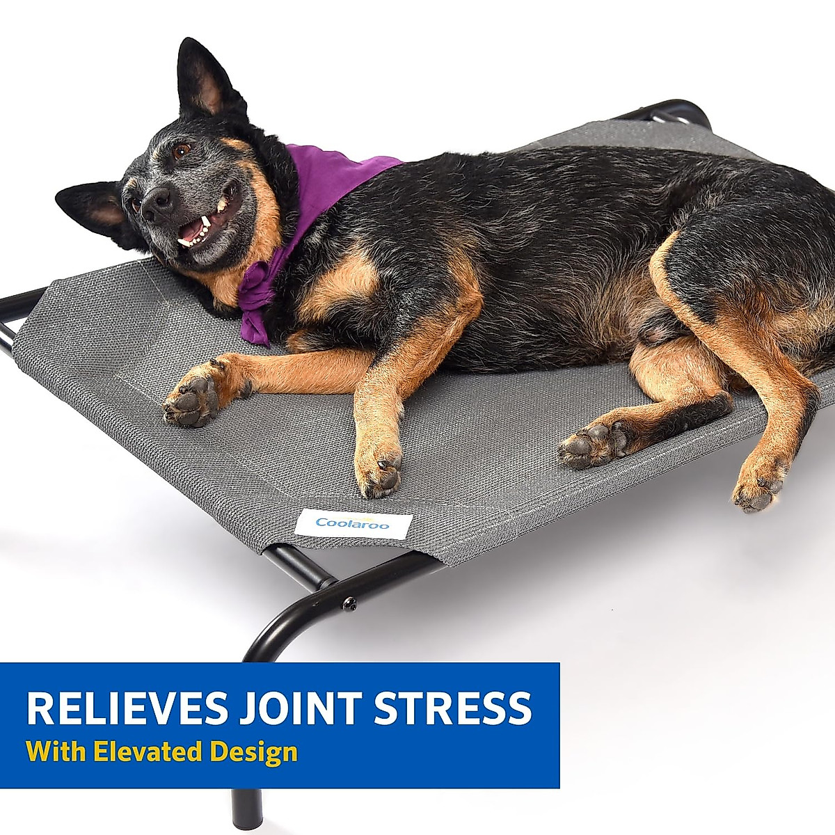 COOLAROO The Original Cooling Elevated Dog Bed, Indoor and Outdoor, Small, Grey