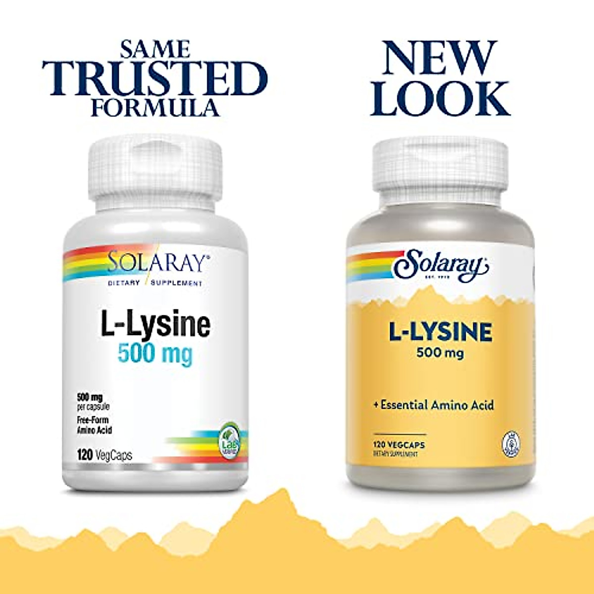 SOLARAY L-Lysine 500mg | Amino Acid | Healthy Cognitive, Immune System & GI Function, Bones, Joints & Skin Support | 120 VegCaps