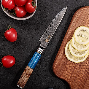 Dnifo Kitchen Utility Knife 5 Inch, Damascus Steel Kitchen Knives -Super Sharp Ultimate All-Purpose Knife for Slicing, Mincing, Chopping - Non-stick Blade and Anti-rusting Forged