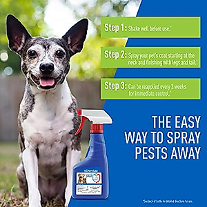Adams Plus Flea & Tick Spray For Dogs and Cats | Kills Adult Fleas, Flea Eggs, Flea Larvae, Ticks, and Repels Mosquitoes For Up To 2 Weeks | Controls Flea Reinfestation For Up To 2 Months | 16 Oz