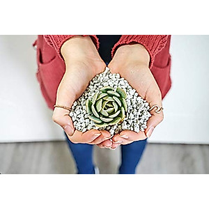 3 Gallon Bag Garden Pumice (3/16" Stone) 13lbs