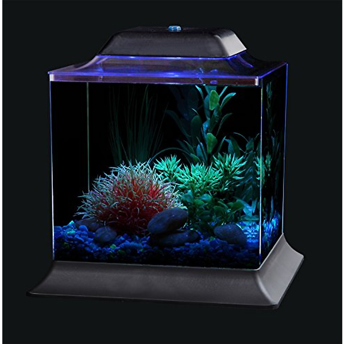 Koller Products 1.5-Gallon AquaScene Aquarium with LED Lighting
