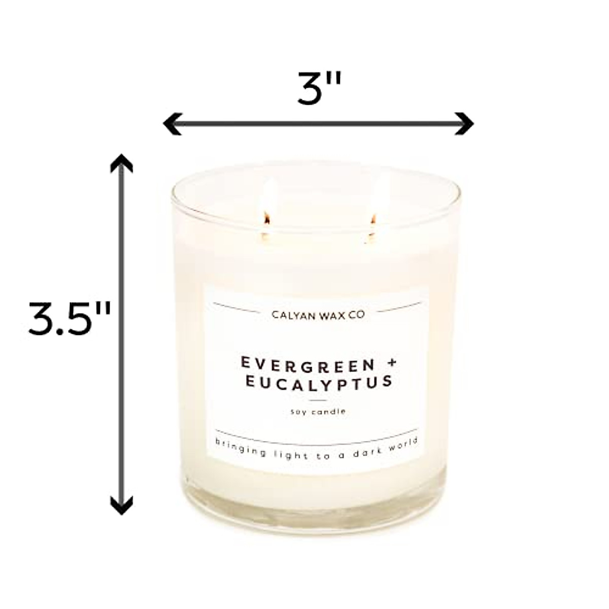 Evergreen & Eucalyptus Scented Candle, Soy Wax Candles for The Home Scented with Phthalate Free Oils, 3.5 x 3 inch, 8.8 oz, 37 Hour Burn Time Fall Candles & Home Decor in Glass Jar - Calyan Wax