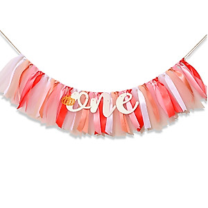 Little Pumpkin 1st Birthday Banner - Ribbon Tulle High Chair Banner.Halloween Birthday Party Decorations.Fall Photography Backdrops. (Pumpkin Banner)