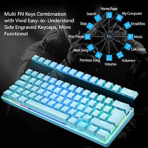 Mechanical Gaming Keyboard and Lightweight Honeycomb Mouse Combo with Rainbow RGB Backlit Full Anti-ghosting 61 Key Ergonomic Programmable Mice Wired USB for Laptop PC Gamer Typist(Blue/Blue Switch)