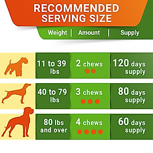 Large Breed Hemp + Glucosamine Dog Joint Supplement - Hemp Chews for Dogs Hip Joint Pain Relief - Omega 3, Chondroitin, MSM - Advanced Mobility Hemp Oil Treats for Large Dogs - Made in USA - 240 Ct