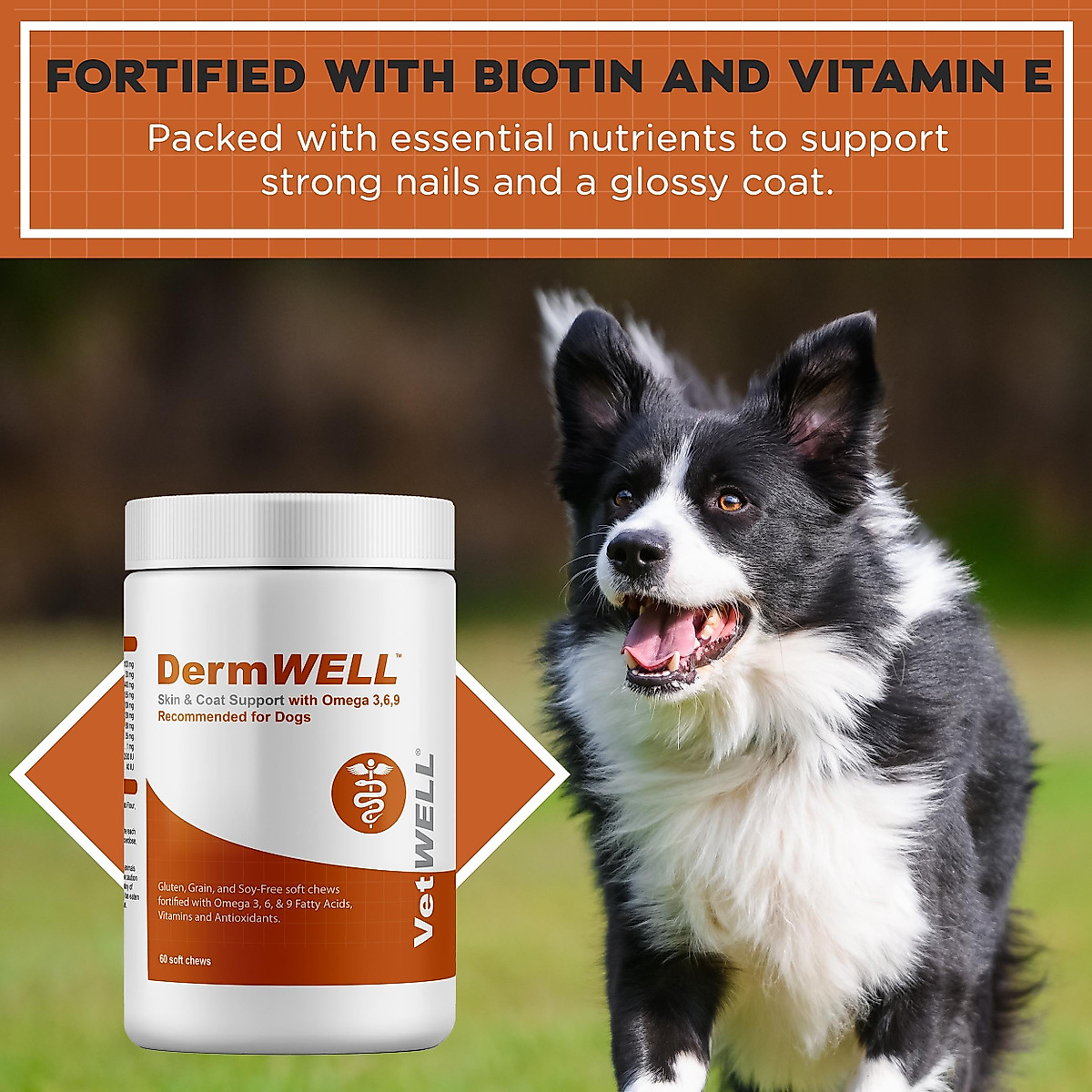 VetWELL Omega 3 Supplement for Dogs with Antarctic Krill Oil, Astaxanthin, Omega 3 6 9, EPA, DHA for Amazing Skin and Coat (60 Count)