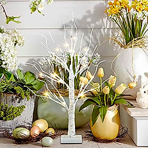 PEIDUO Easter Decorations for The Home, Easter Tree Battery Powered Timer, Lighted Birch Tree with LED Lights, Artificial Tree Lamp for Easter Home Decor (2FT Warm White)