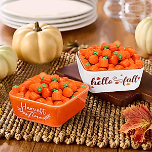 Kederwa 2pcs Fall Candy Dish Set,Mini Autumn Ceramic Candy Bowl with Fall Leave Harvest Fall Tiered Tray Decor Fall Gifts