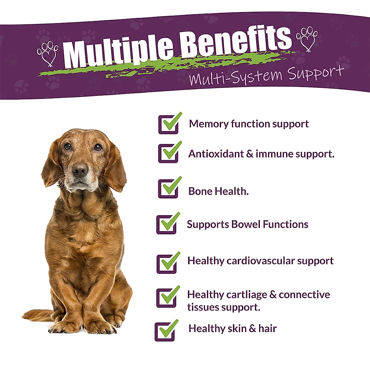 Amber NaturalZ Carticil Plus Herbal Supplement for Dogs | Multi System Support is a Blend for Digestive, Respiratory, and Cardiovascular Health | 60-Day Medium Dog Supply | Manufactured in The USA