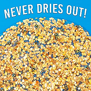 Crazy Aaron's Trendsetters Putty Playset - Honey Hive - Clear Putty with Hidden Pieces - Non-Toxic, Never Dries Out