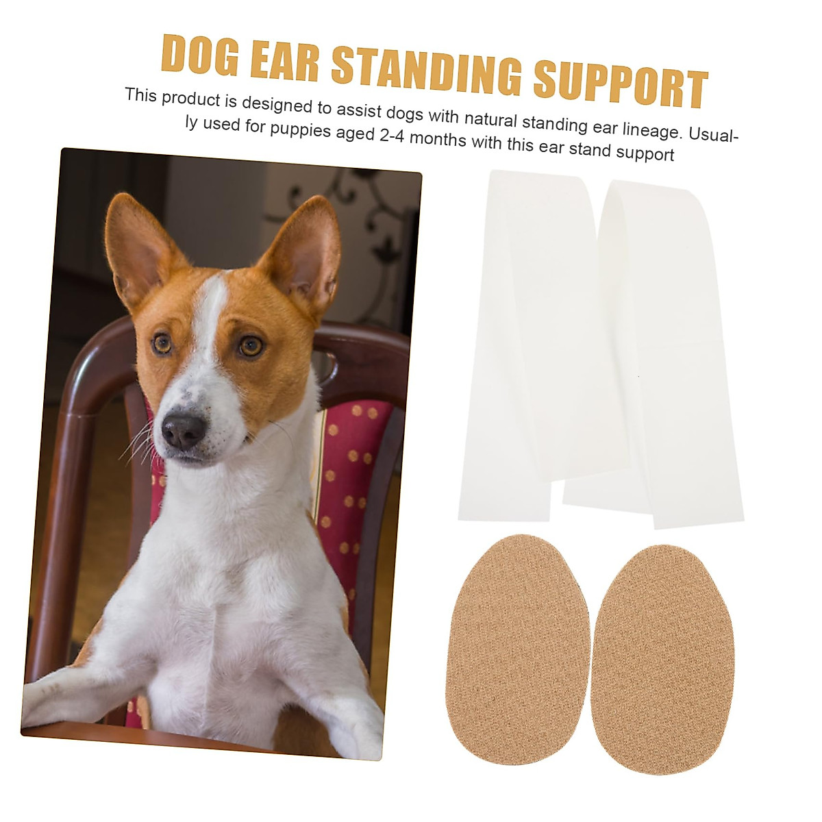 Toddmomy 1 Pair Pet Ear Erector Pet Ear Tape Puppy Ear Standing Tape Dog Ear Post Sticker Dog Ear Stand up Tool Dog Ear Correction Puppy Ear Support Stickers Husky Non-Woven Fabric Puppies