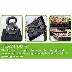 BeGrit Seed Starter Trays 5-Pack 15x12 inch Mesh Bottom Tray Plastic Plant Trays Garden Seedling Starter Kit for Plants,Microgreens,Soil Blocks,Wheatgrass,Hydroponic and Fodder Systems