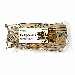 The Bio Dude Southern Palm Fronds/Leaves 6 qt, for Reptiles, Frogs and bioactive terrariums