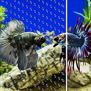 Aquarium Divider Clear 10 Gallon/20-Gallon (EH) Fish Tank Divider with Suction Cups Accessories