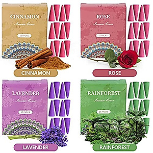 Incense Cones, Assorted Scented Incense Cones with Holder, Incense Gift Set for Mothers Day, Rose, Sage, Lavender, Violet, Cinnamon, Eucalyptus, Sandalwood, Rain Forest, 120 Cones Total