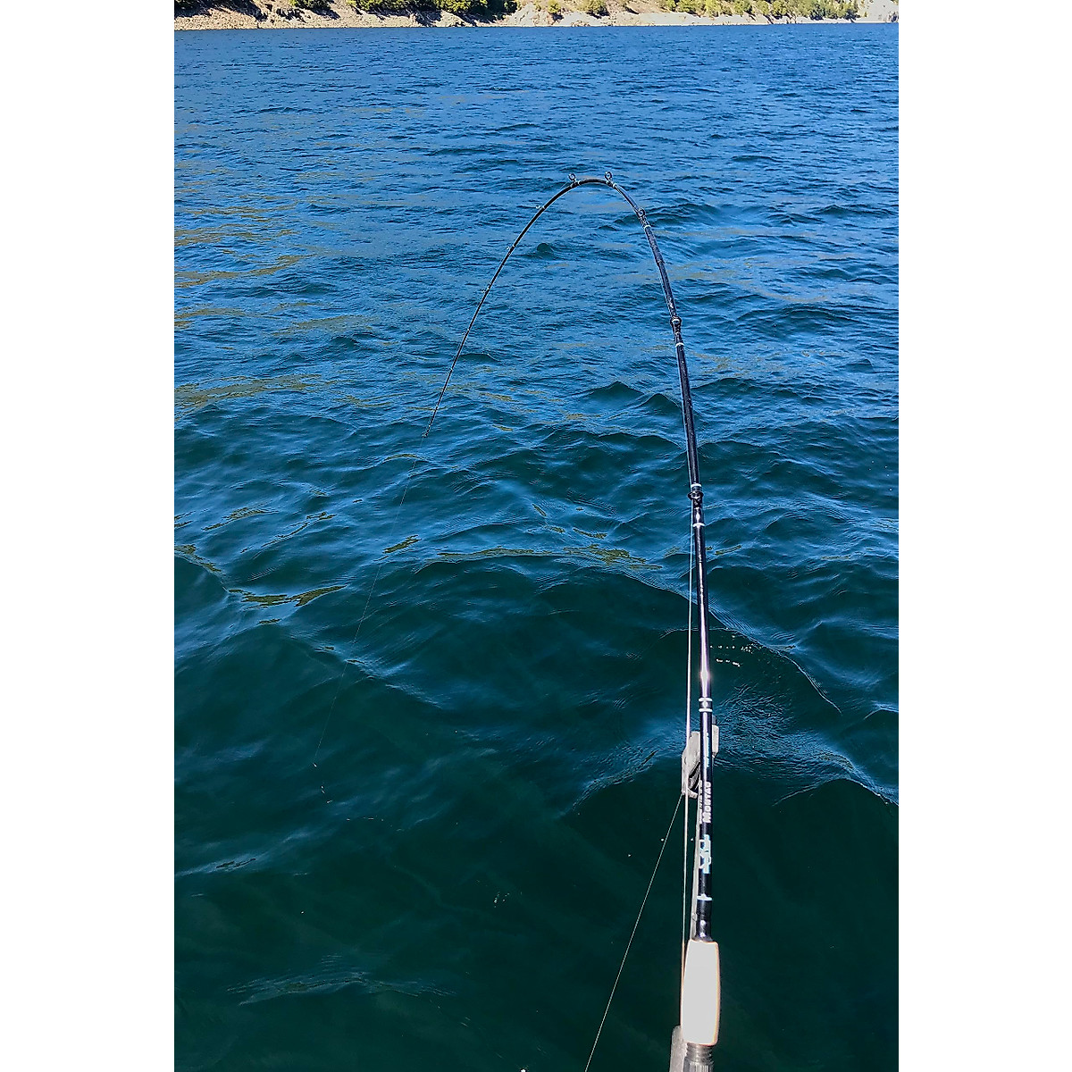 Montana Tackle 7' 6" Light Action Kokanee Salmon Downrigger Rod: “PRO KOKANEE III