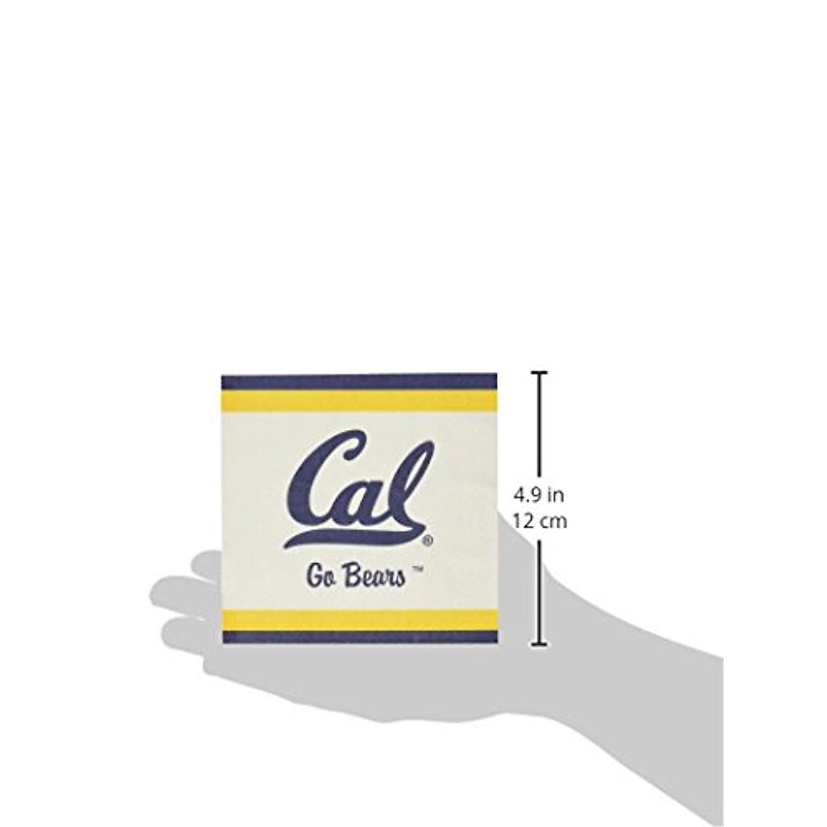 Mayflower Distributing Company NAPKIN, 5 x 5, Multicolor