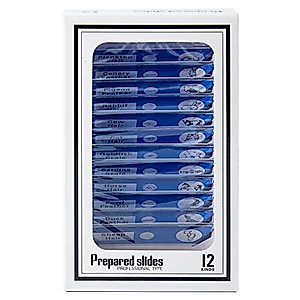 LINKMICRO 48pcs Prepared Plastic Microscopes Slides with 4 Types of Glass Biological Specimen for Kids Students