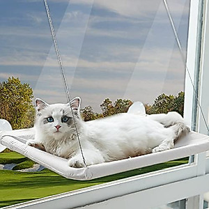 cat Hammock Perch cat Window Hammock Bed seat Shelf for Indoor Cats Resting Seat Safety Holds Two Cats, Cat Perch Safety Resting Shelf 360°Sunny Seat Space Saving Cat Beds (Premium Silver Gray)