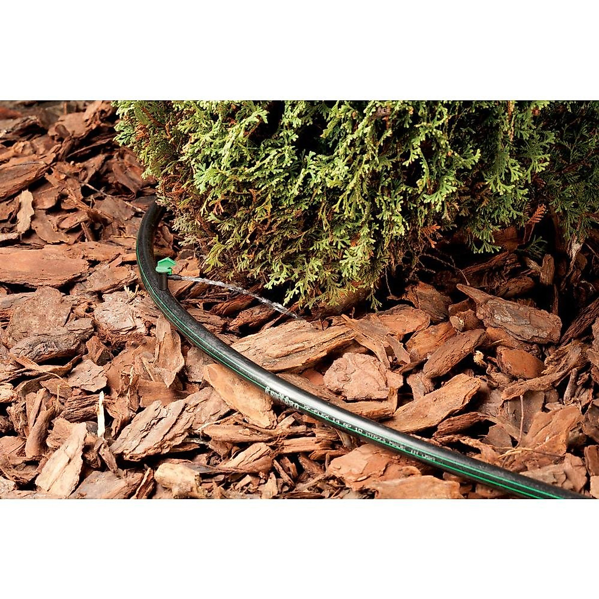 Rain Bird T63-050 Drip Irrigation 1/2" (0.634" OD) Blank Distribution Tubing, 50' Roll, Black