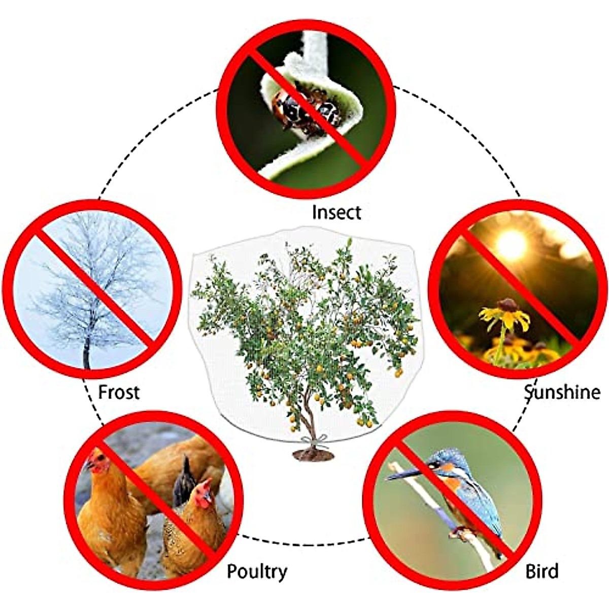 PURPLE STAR 1N 6x7 Feet Insect Bird Barrier Netting Mesh with Drawstring-Garden Bug Netting Plant Cover for Protect Plant Fruits Flower from Insect Bird Eating