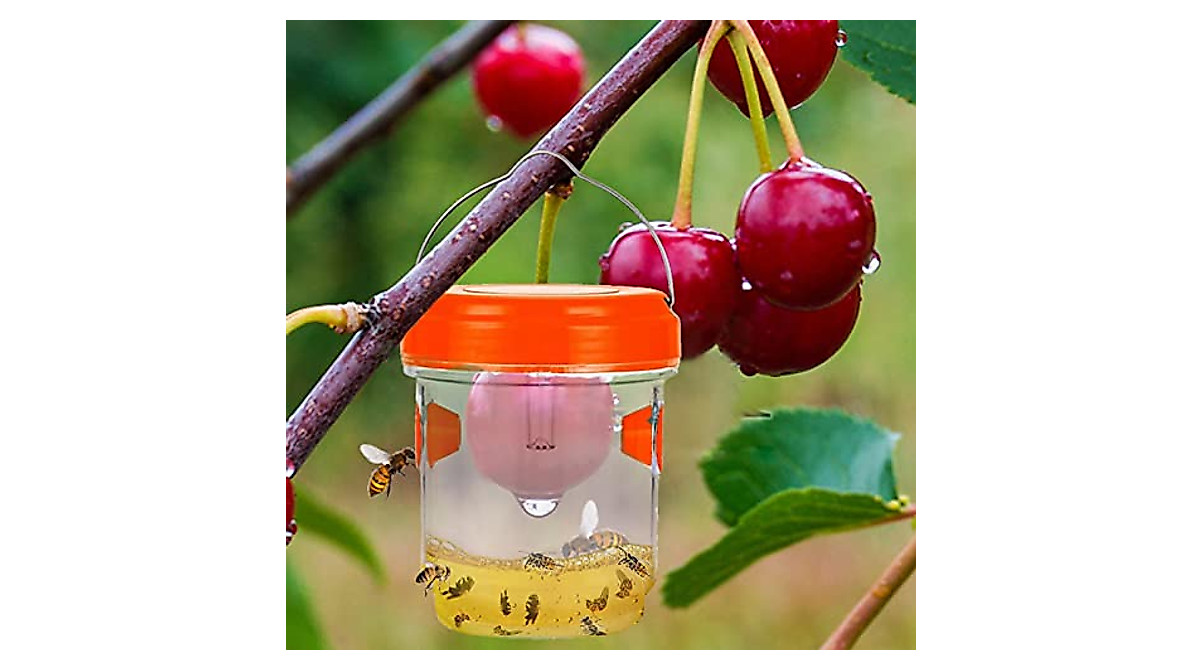 Effective Wasp Traps Outdoor - 2 Pack Solar Powered