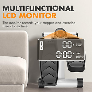 Mini Mute The Sound Stair Stepper,300LBS Loading Capacity, with LCD Monitor Floor mat Resistance Rope Hydraulic Fitness Stepper for Home Desk or Office Workouts-Black & White