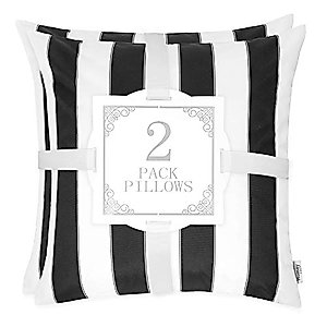 Homy Cozy 7H5241-20-Olivia Accent Pillow, 2 Count (Pack of 1), Black
