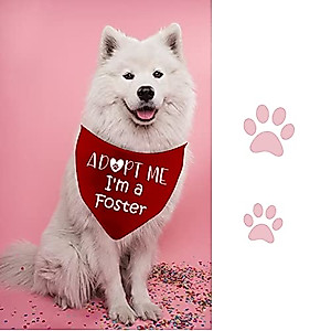 JXGZSO 1 Piece Adopt Me I'm a Foster Dog Bandana Adopted Dog Bandana Baby Dog Announcement Dog Bandana (I'm a Foster D)