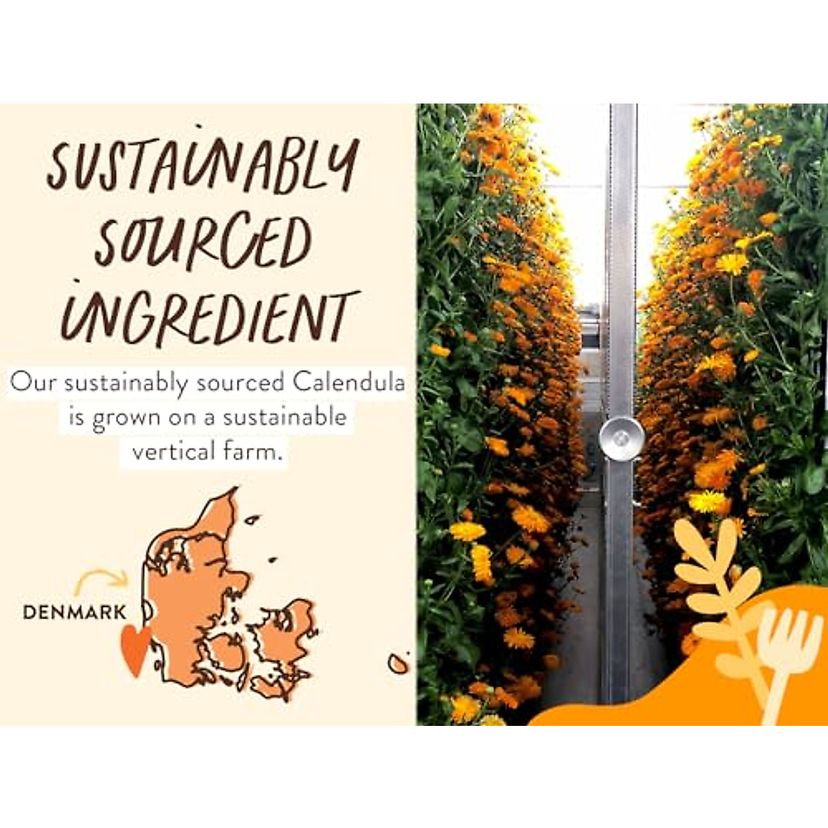 Babo Botanicals Moisturizing Oat & Calendula 2-in-1 Shampoo & Wash - For Dry or Sensitive Skin - For all ages - Lightly Scented - Vegan - 16 Fl Oz