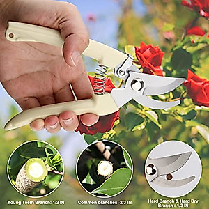 QIIYCCE Garden Shears,Lightweight Stainless Steel Bypass Pruning Shears，Sharp Garden Scissors For Pruning, Fruits, Flowers, Plants (1 PACK)