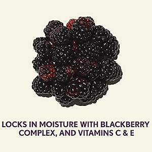 Aveeno Absolutely Ageless Daily Facial Moisturizer with Broad Spectrum SPF 30 Sunscreen, Antioxidant-Rich Blackberry Complex, Vitamins C & E, Hypoallergenic, Non-Comedogenic & Oil-Free, 1.7 fl. Oz