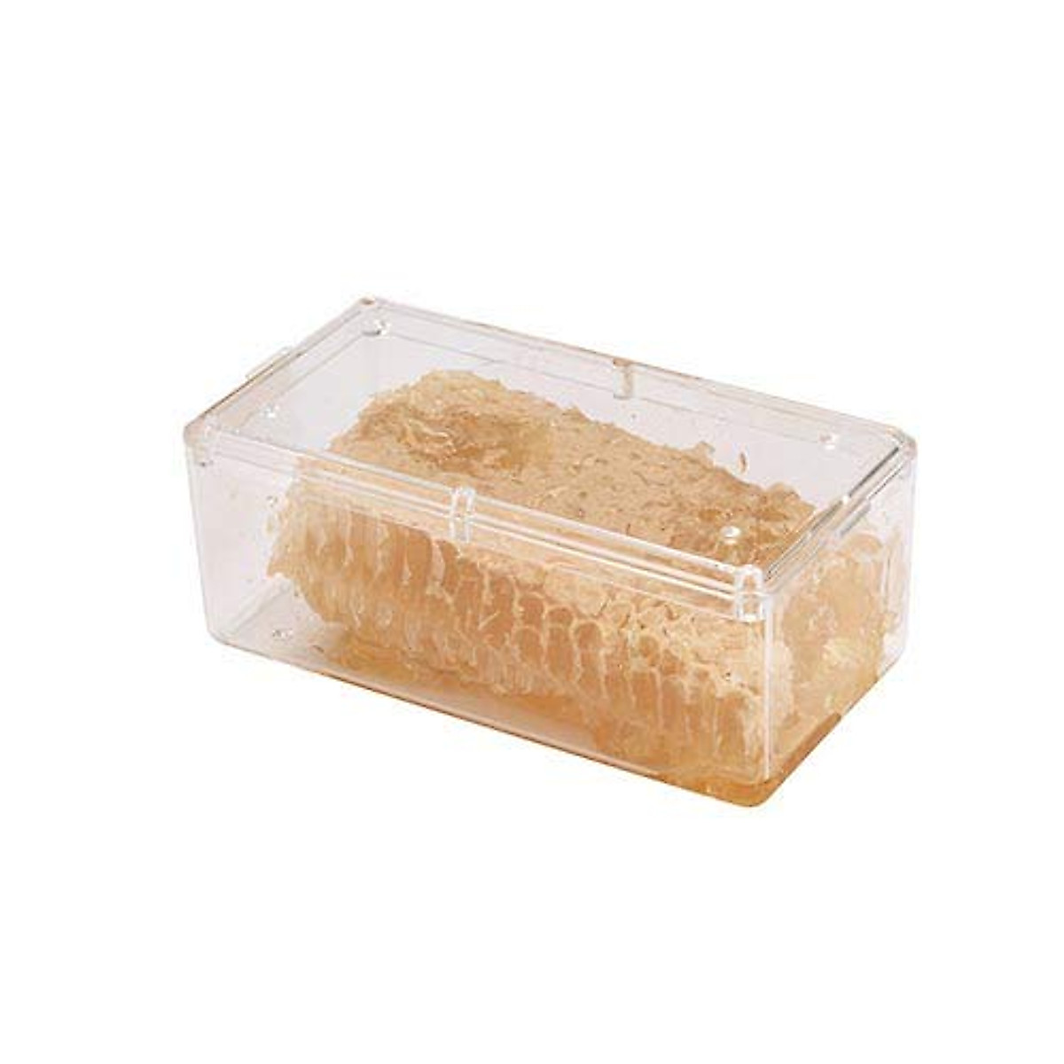 Pioneer Plastics 155C Clear Rectangular Plastic Container, 4.3125" W x 2.25" D x 1.75" H
