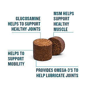 VetIQ Hip & Joint Supplement for Dogs, Anti Inflammatory Joint Support, Glucosamine, MSM, and Krill, Chicken Flavored Soft Chews, 60 Count